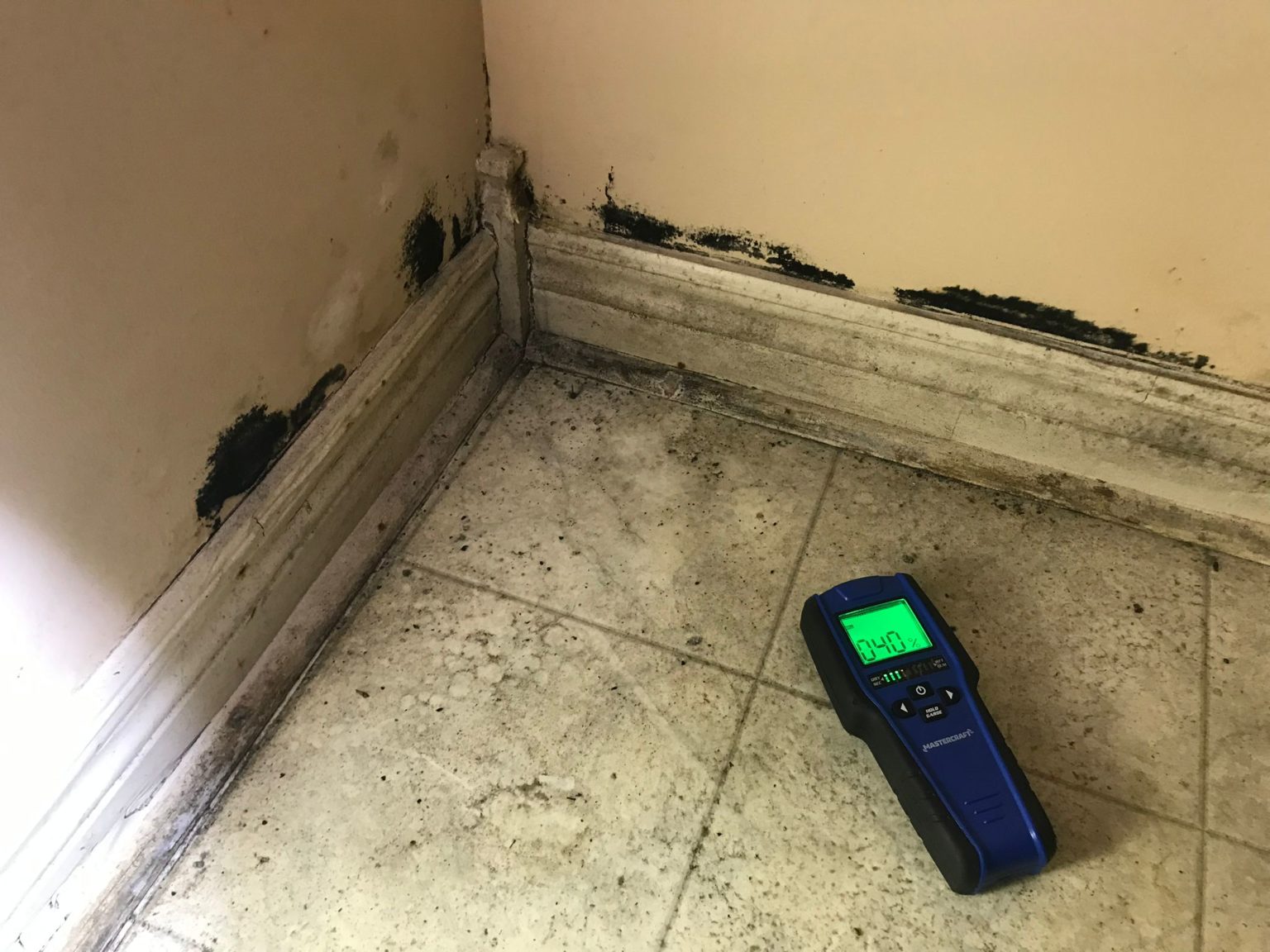 Mold Remediation Niagara Falls Ontario - CASPI SERVICE GROUP